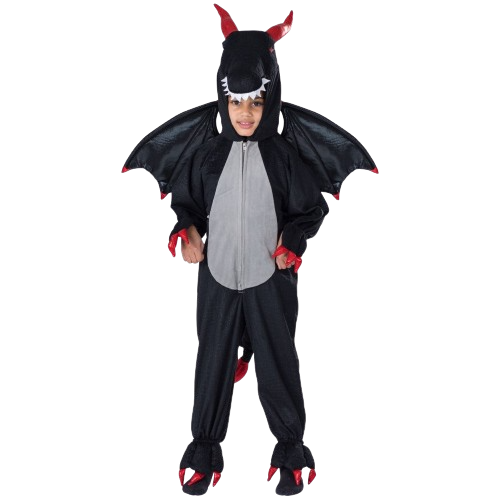 Dragon Costume - Kids – Dress Up America